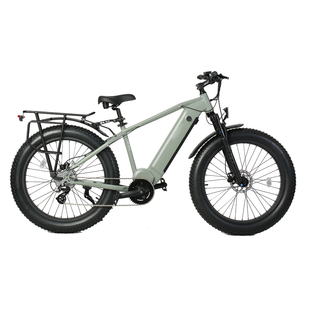 20 inch E 73 two seat 52v 14Ah 750w super power fat tire electric bike