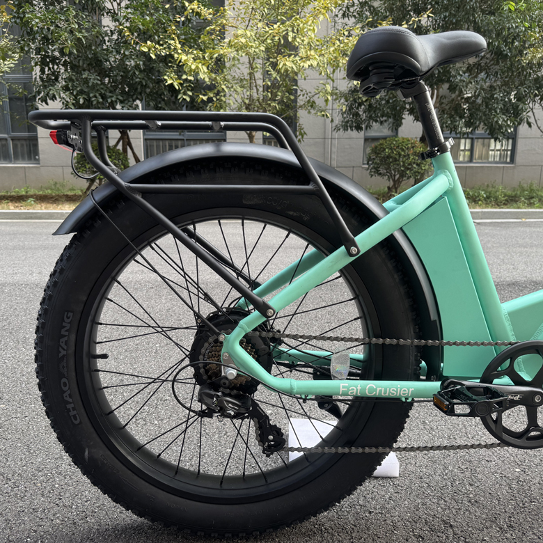 stealth bomber mudguards