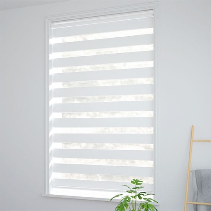 Zebra Roller Shades | Shop Online at KARLLEO