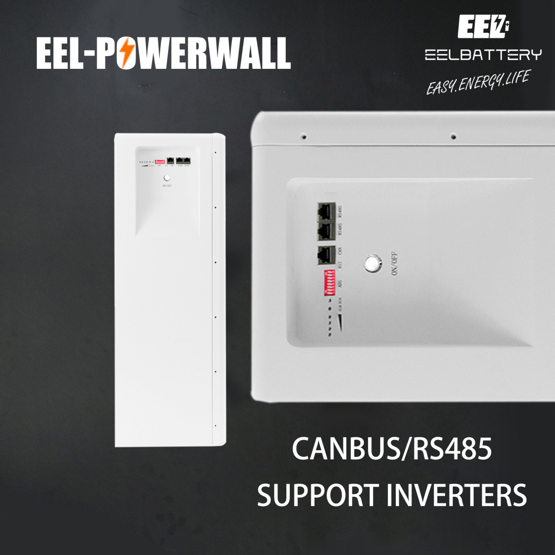 EEL 48V Power Wall Battery Pack 16kwh with 200A Bluetooth BMS Wall ...