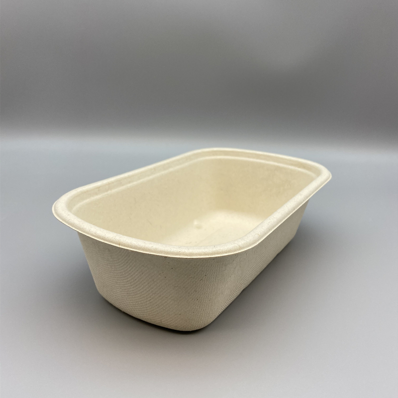 750ml Bagasse Tray | Sugarcane Rectangle Food Container