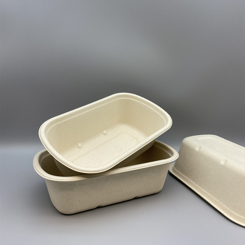 750ml Bagasse Tray | Sugarcane Rectangle Food Container