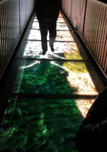 Glass walkway