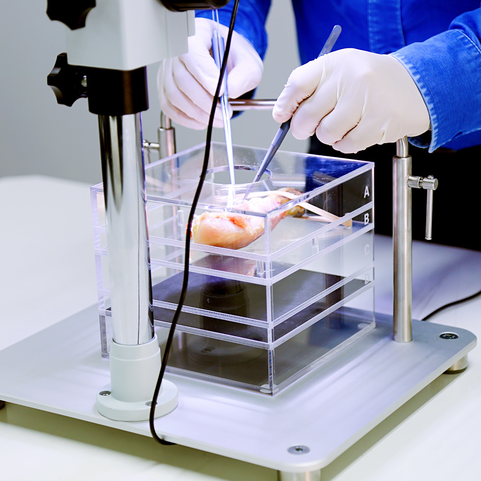 Microvascular Anastomosis Trainer（Standard）