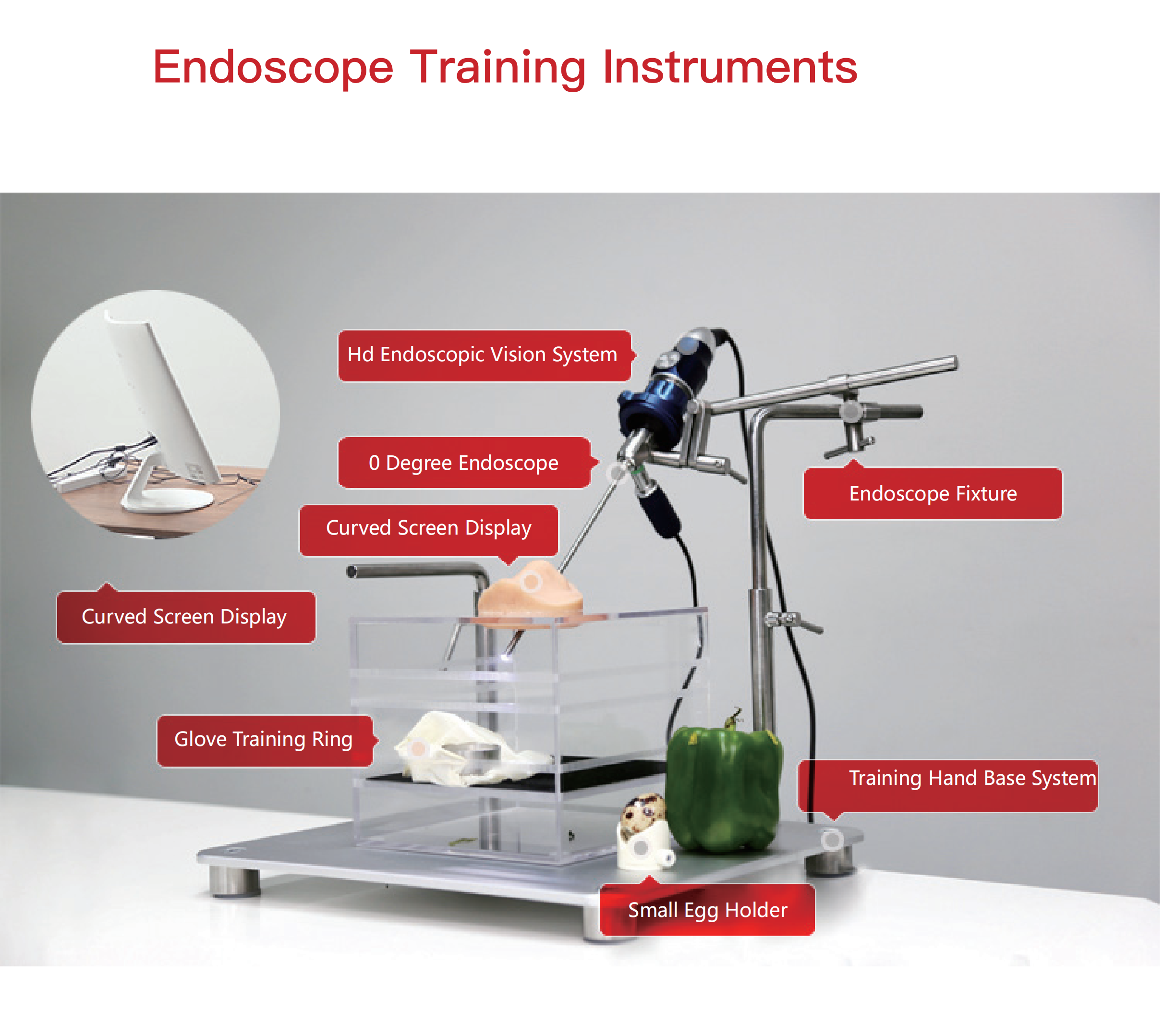 Neuroendoscope Training Instruments