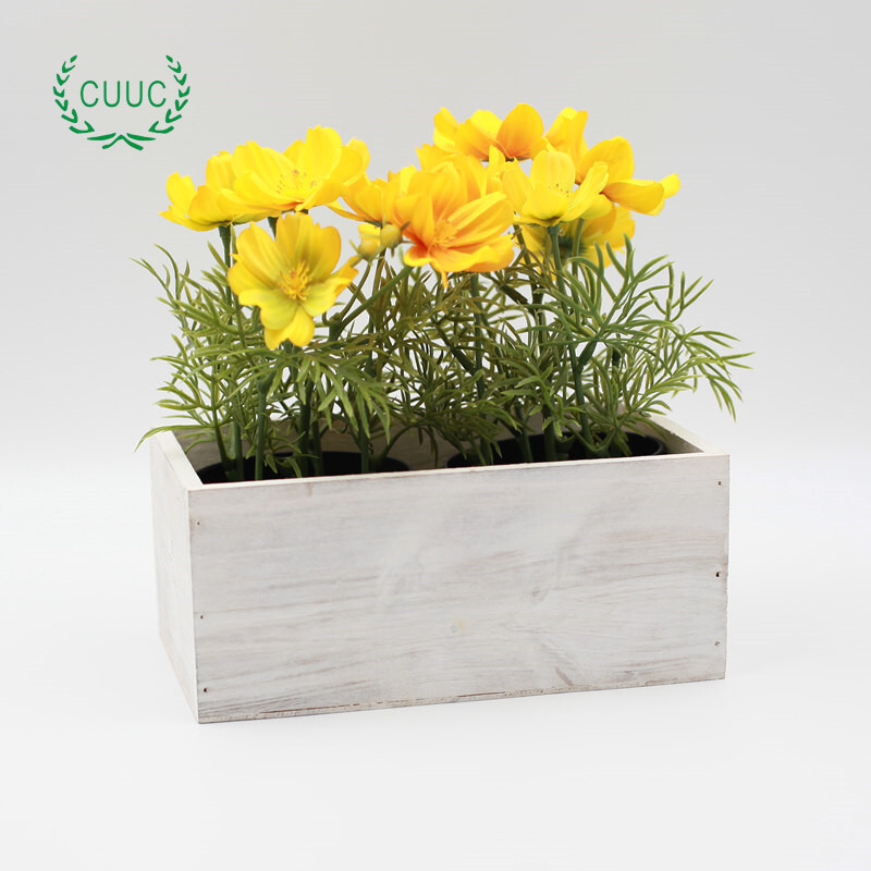 Rectangle Garden Planters Wood Pot for Outdoor