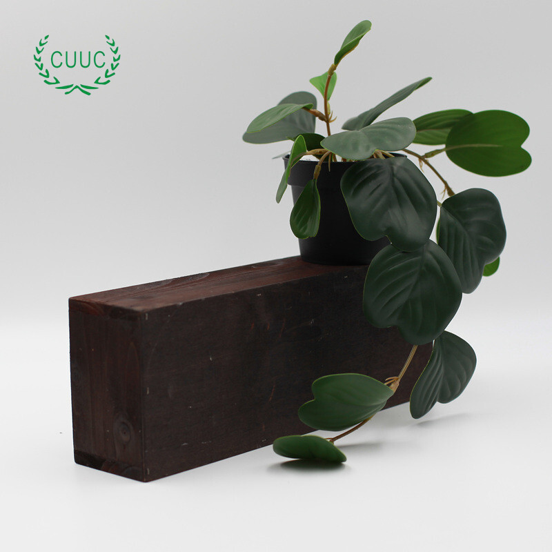 Rectangle Garden Planters Wood Pot for Outdoor