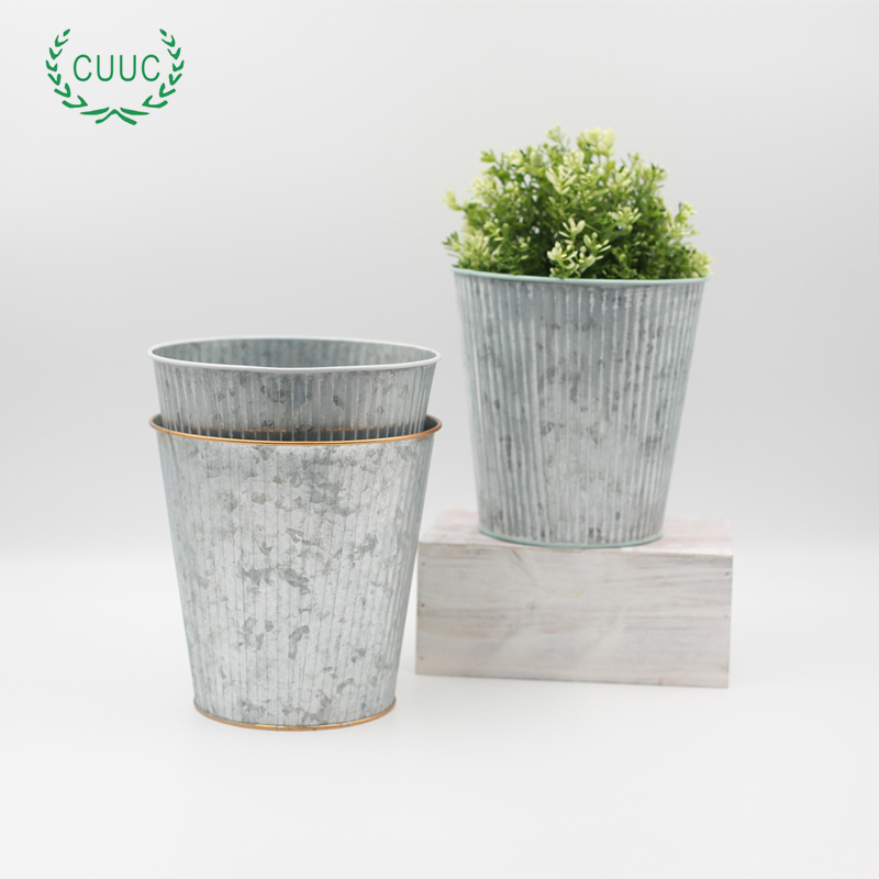 Golden Rim Zinc Flower Pot