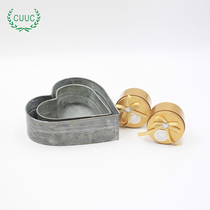 Set of 2 Vintage Galvanized Heart Shaped Flower Pot