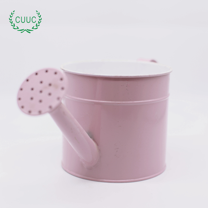 Home Decoration Watering Can Metal Flower Pot