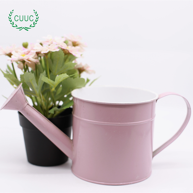 Home Decoration Watering Can Metal Flower Pot