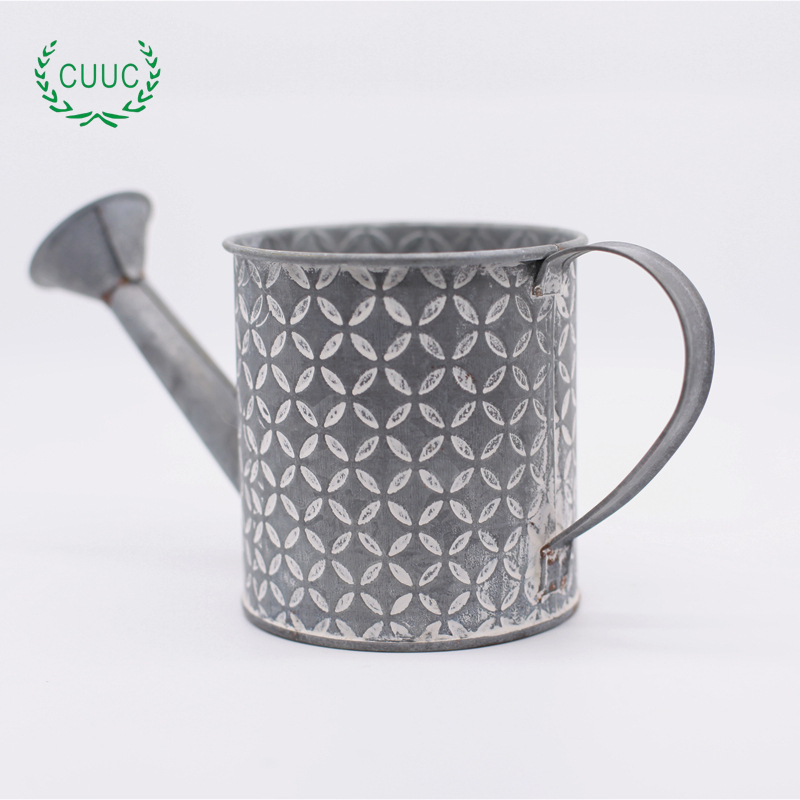 Home Decoration Watering Can Metal Flower Pot