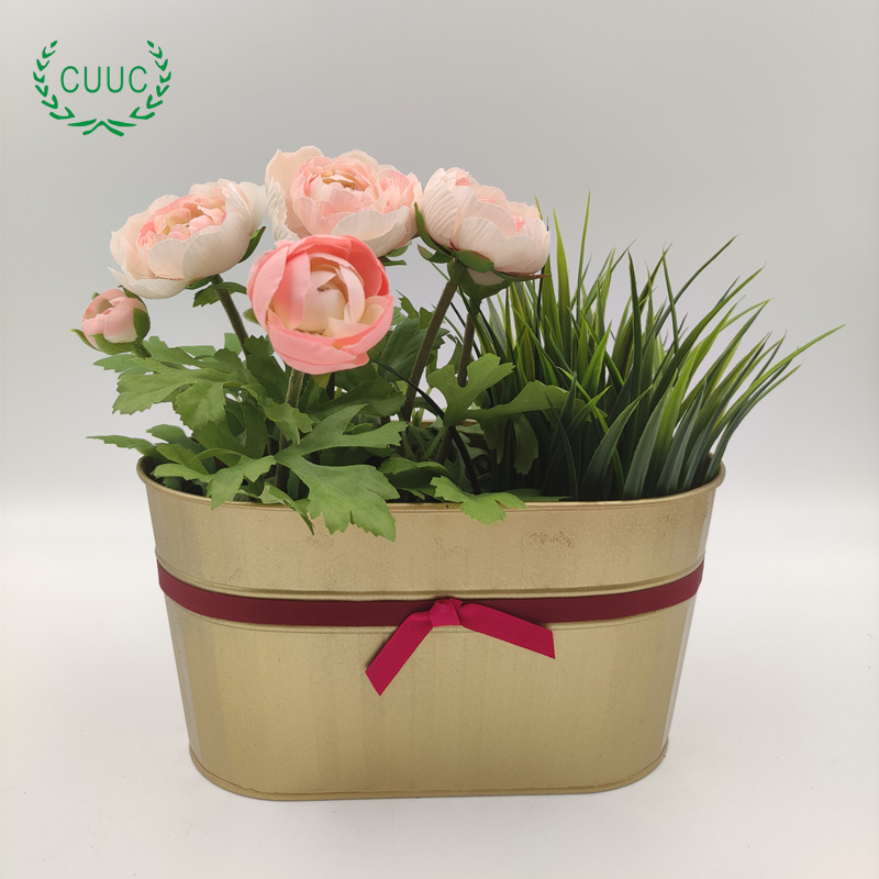 Golden Metal Flowerpot | Plant Pot