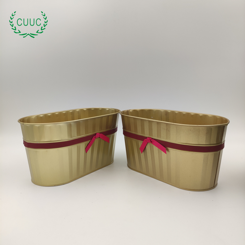 Golden Metal Flowerpot | Plant Pot