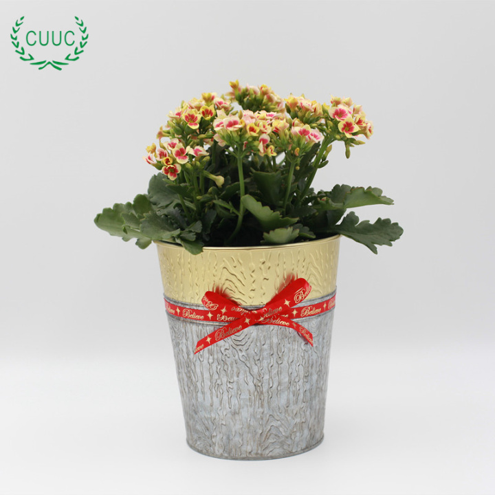 Outdoor Galvanized Xmas Metal Planter Pots | Xmas Buckets
