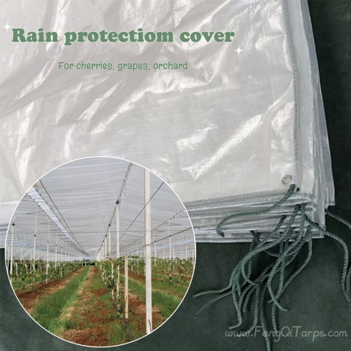 Cherry rain tarp, grape rain protection cover PE tarpaulinPE Tarpaulin ...