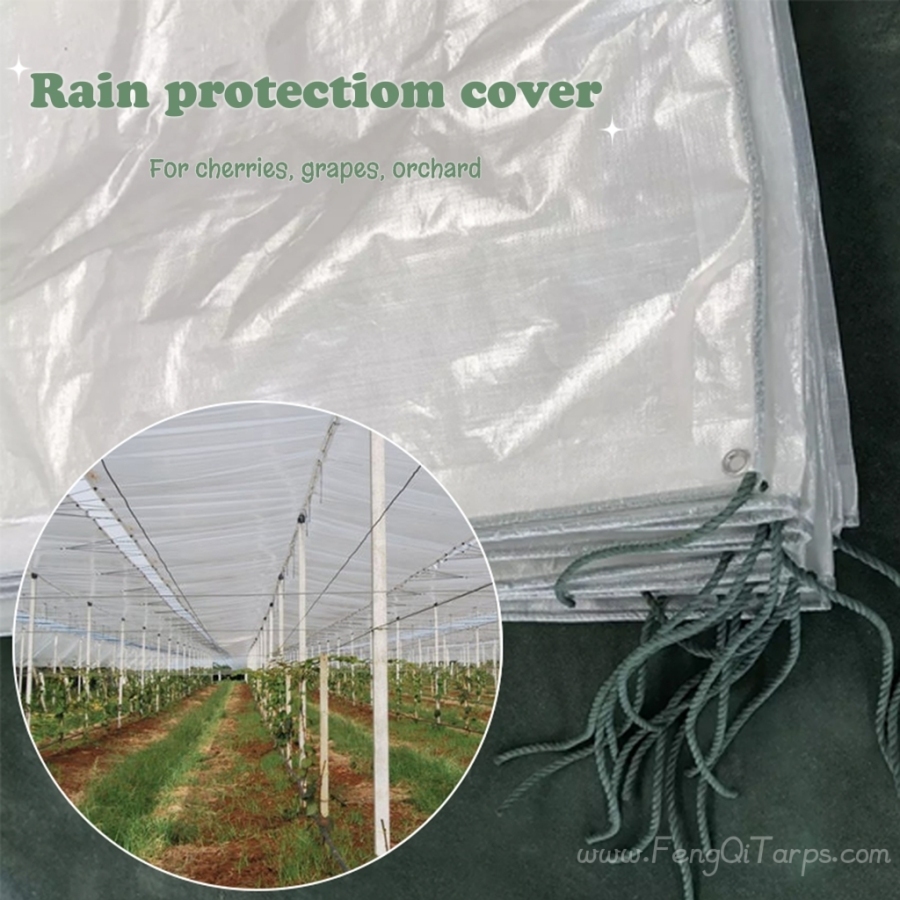 PE Tarpaulin | waterproof poly tarp | fire-retardant tarpaulin | scaffolding tarpScaffolding Tarp