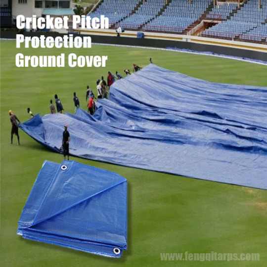 PE tarpaulin used as Cricket Pitch Protection Ground CoverPE Tarpaulin ...