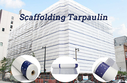 PE tarps - with 30 years' experience of production and export!