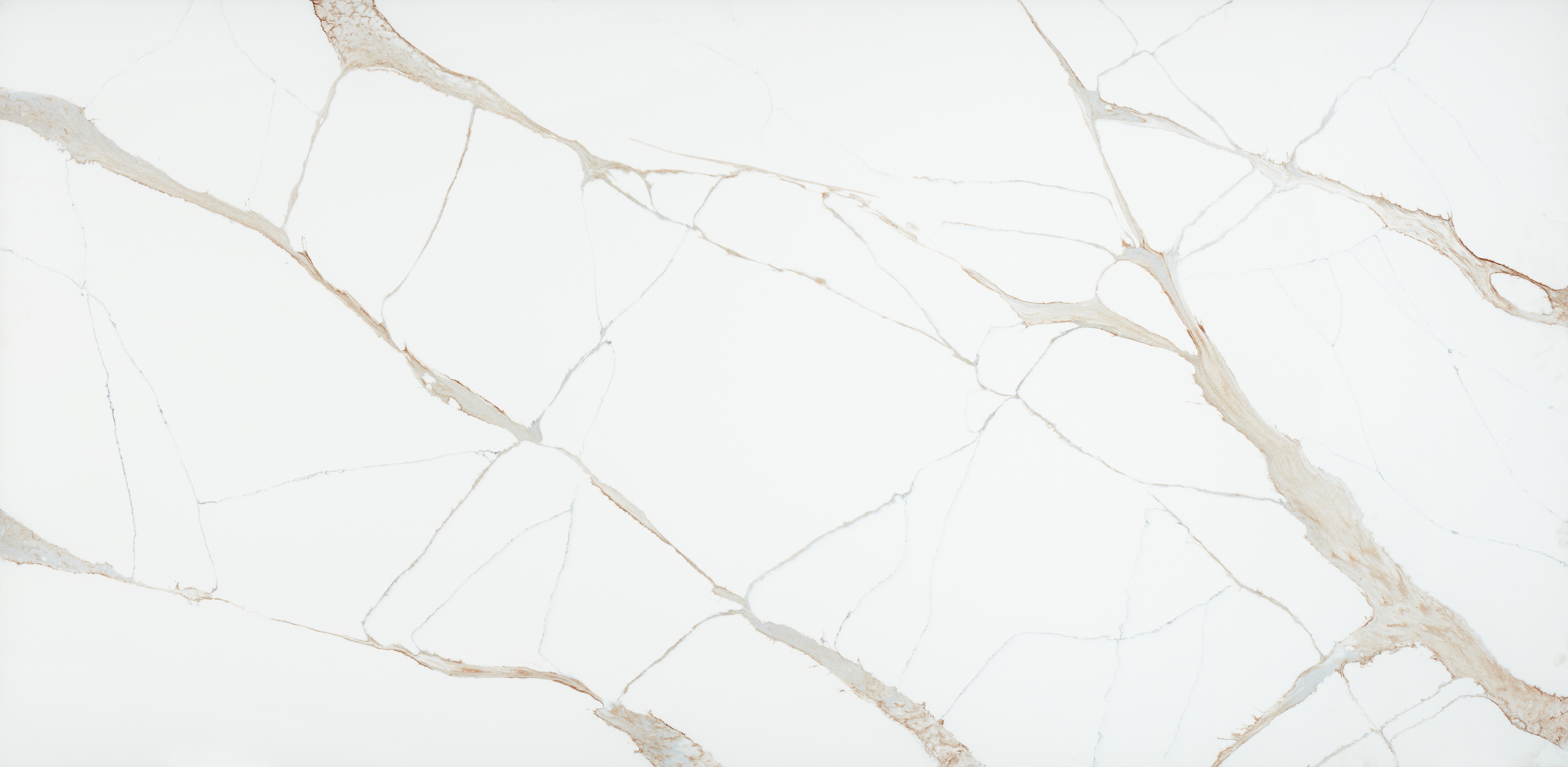 Calacatta Leon Gold (T049)