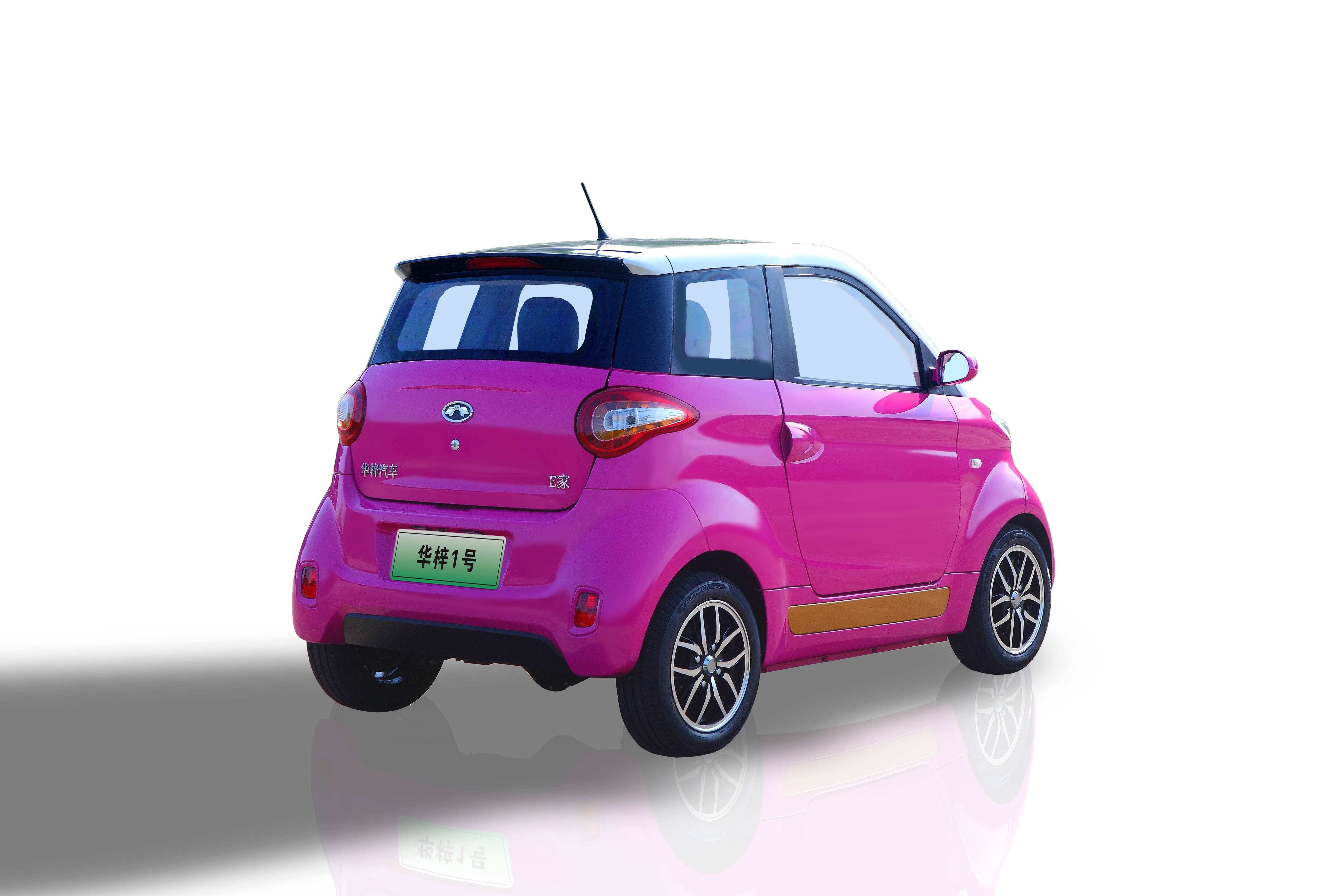 China Huazi Electric Mini Car 2 Seats
