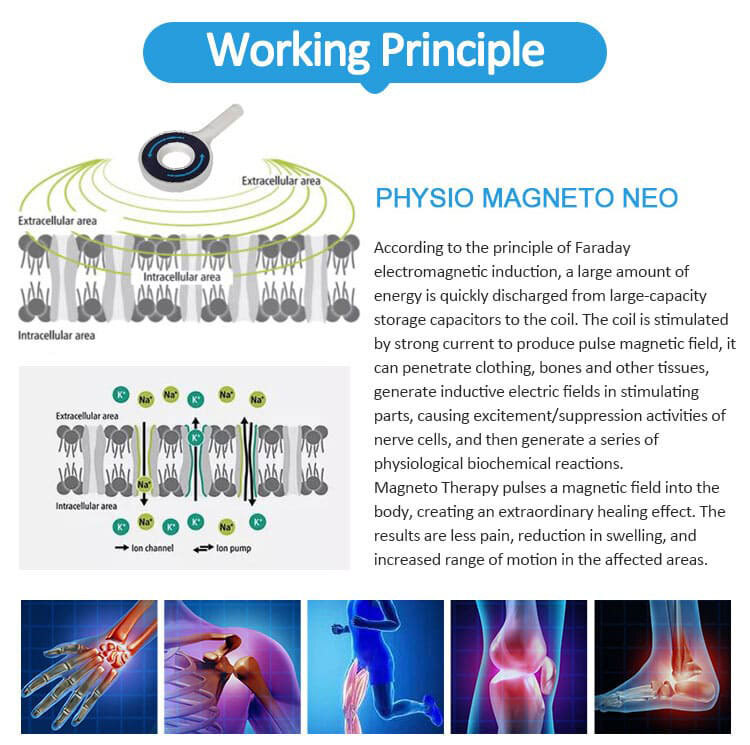Phsio Terapia Electromagnetic Clinic Machine