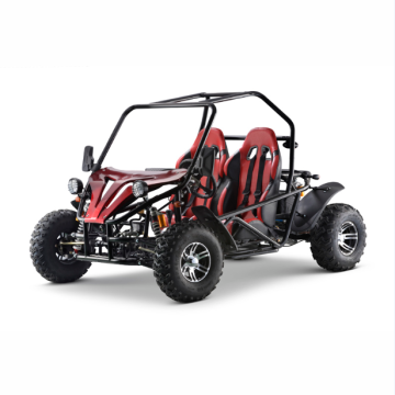 gasoline Go kart buggy electric go kart buggy UTV