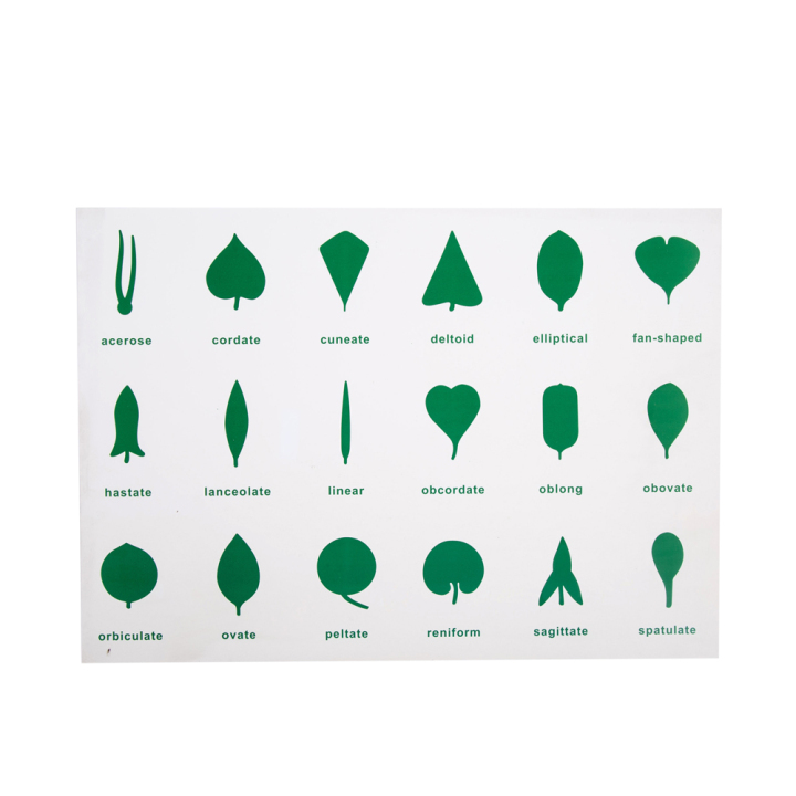 Botany Leaf Cabinet Control Chart