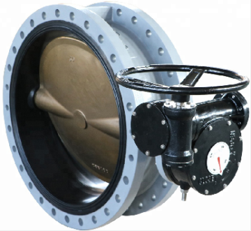 ISO5752 SERIES 13 Double Flange Butterfly Valve