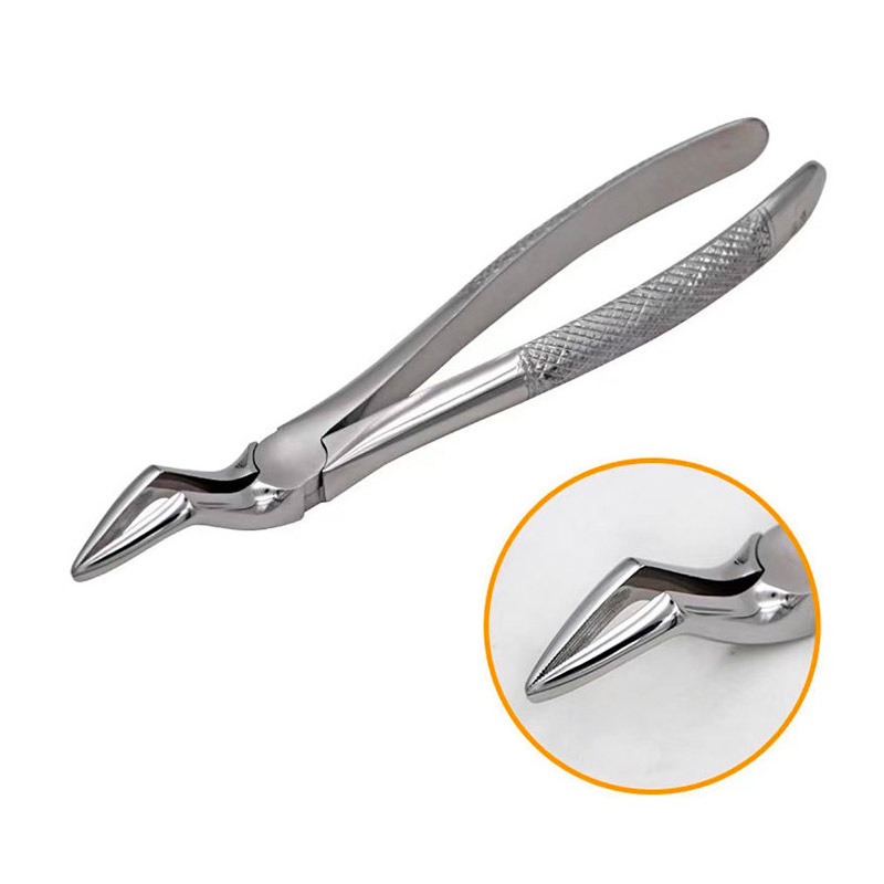 10Pcs/Set Dental Extraction Plier Forceps kit for Adult Surgical Teeth ...