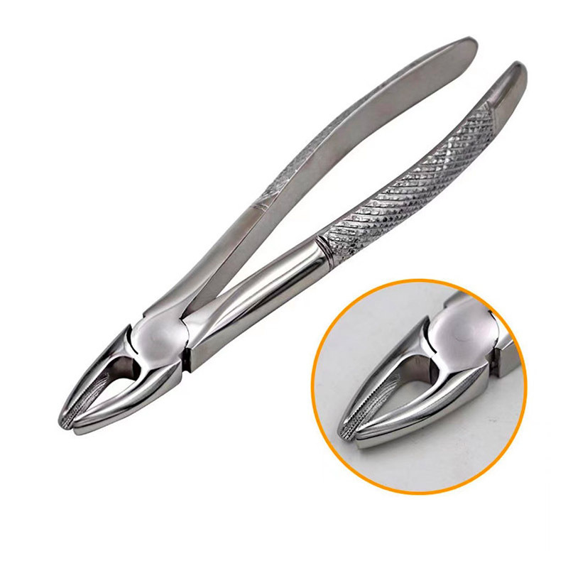 10Pcs/Set Dental Extraction Plier Forceps kit for Adult Surgical Teeth ...
