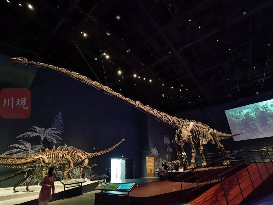 Mamenchisaurus: the dinosaur with the longest neck on Earth | Hi Dinosaurs