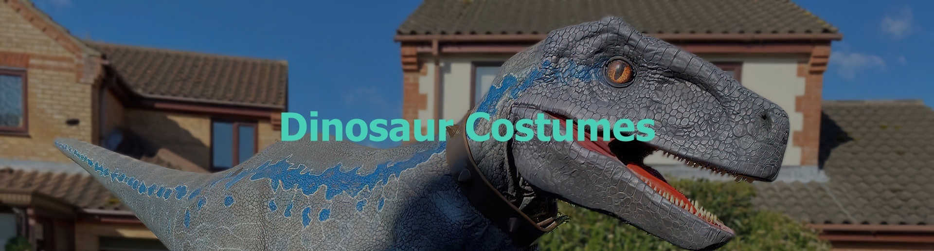 Realistic Dinosaur Costumes For Adults | HiDinosaurs