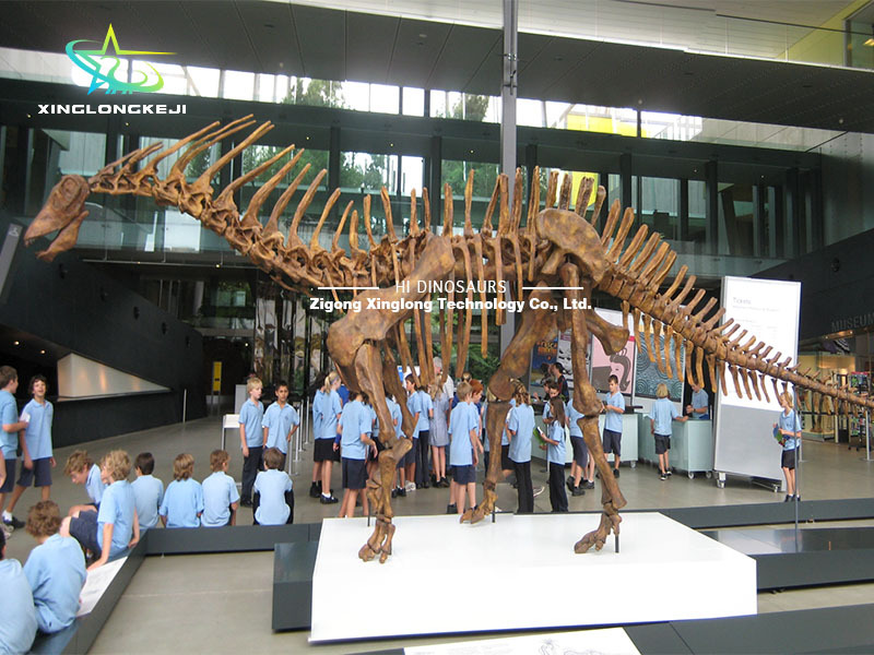 Amargasaurus Skeleton DS-0015-1