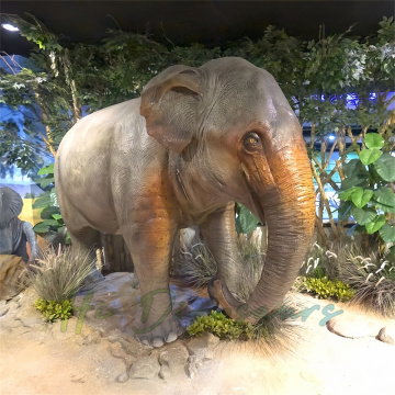 Artificial Animatronic Elephant Jungle Animal | Hi Dinosaurs