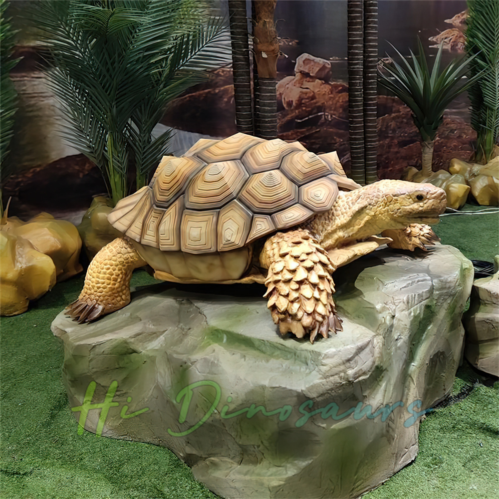Animatronics Tortoise with Hard Shell | Hi Dinosaurs