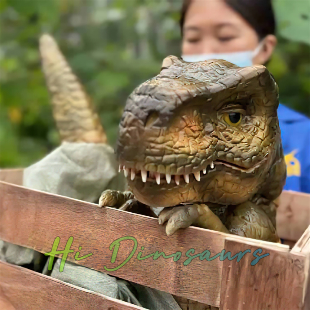 Lifelike Crate T-Rex Baby Puppet | Hi Dinosaurs