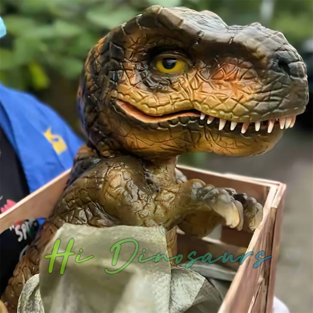 Lifelike Crate T-Rex Baby Puppet | Hi Dinosaurs