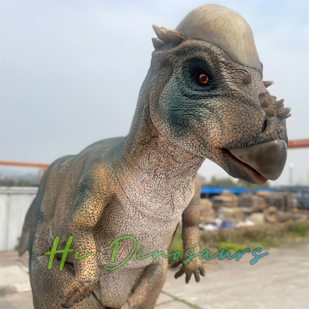 Stunning Pachycephalosaurus Real Dino Costume | Hi Dinosaurs