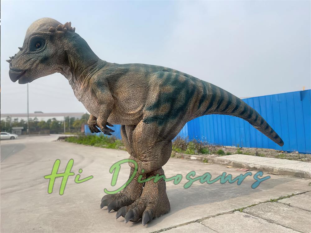 Stunning Pachycephalosaurus Real Dino Costume | Hi Dinosaurs