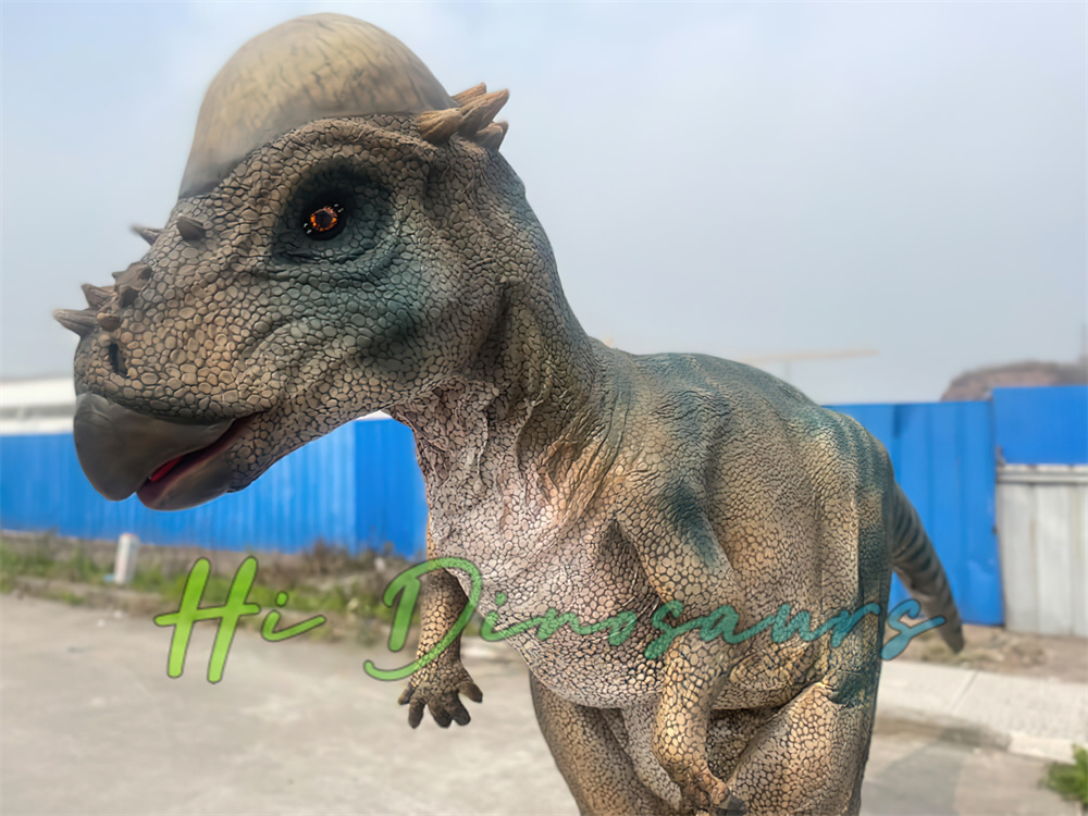 Stunning Pachycephalosaurus Real Dino Costume | Hi Dinosaurs