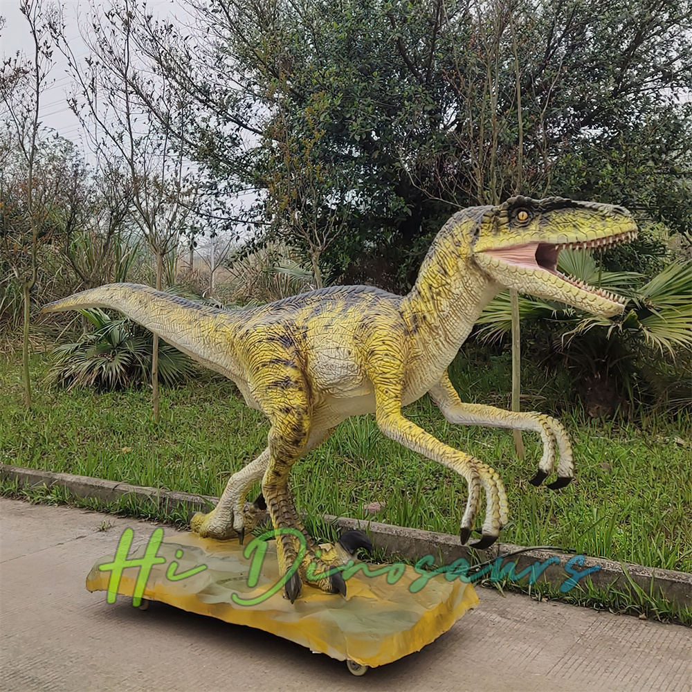 Robotic Dinosaur Exhibit Life Size Velociraptor for Sale | Hi Dinosaurs