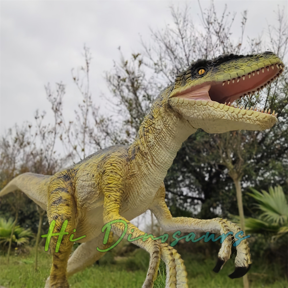 Robotic Dinosaur Exhibit Life Size Velociraptor for Sale | Hi Dinosaurs
