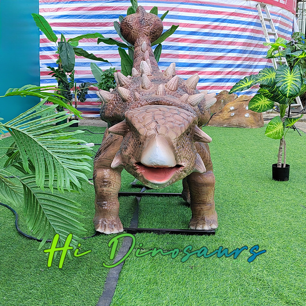 Realistic Baby Ankylosaurus Animatronic Dinosaur | Hi Dinosaurs