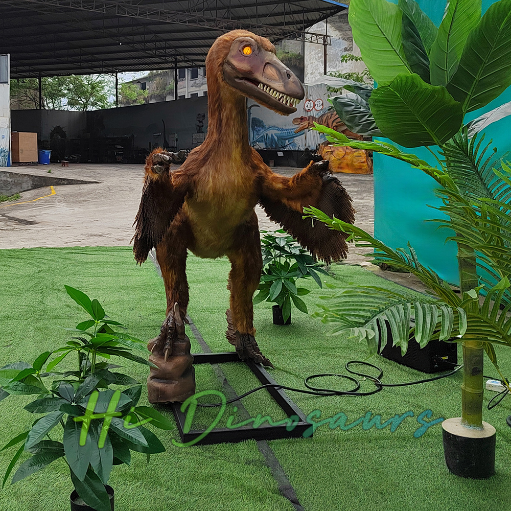 Dinosaur Specimen With Feather Sinornithosaurus Model | Hi Dinosaurs