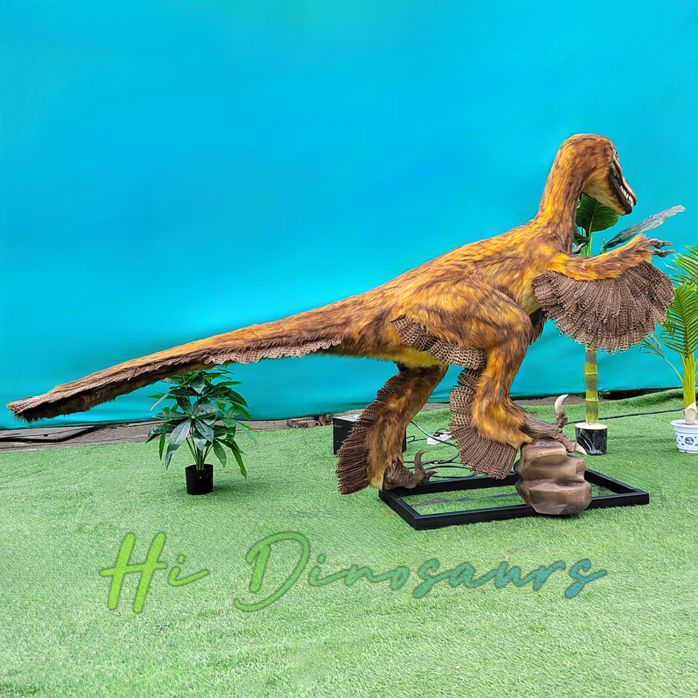 Dinosaur Specimen With Feather Sinornithosaurus Model | Hi Dinosaurs