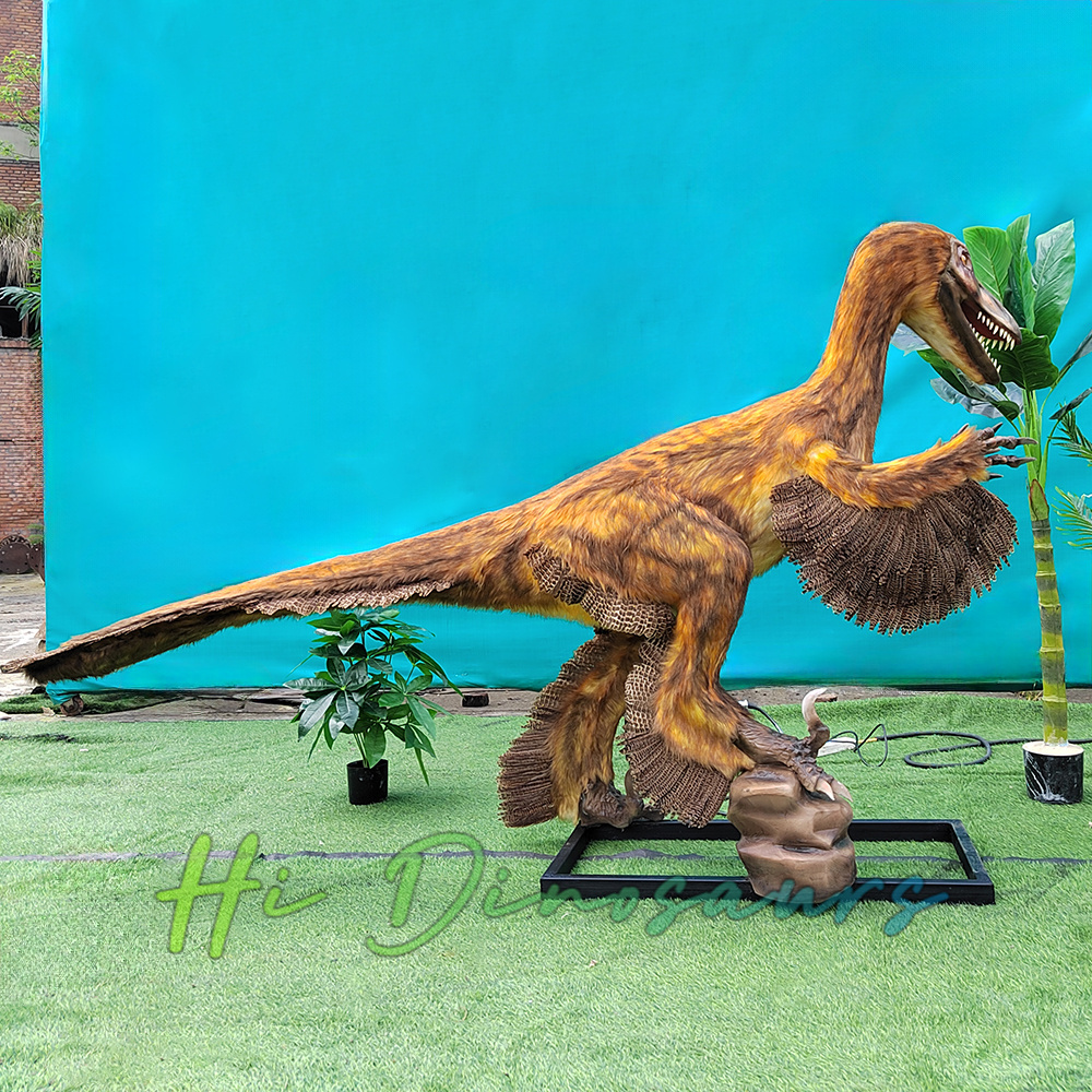 Dinosaur Specimen With Feather Sinornithosaurus Model | Hi Dinosaurs