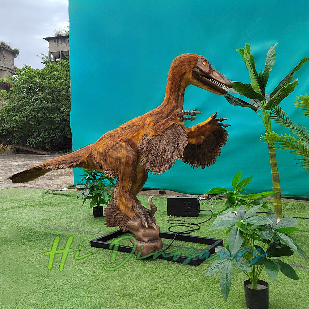 Dinosaur Specimen With Feather Sinornithosaurus Model | Hi Dinosaurs