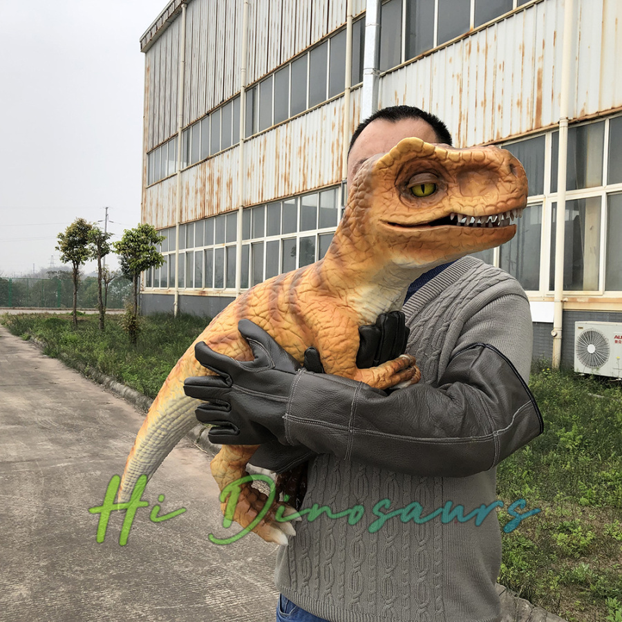 Realistic Lifelike Dinosaur Puppets for Sale | Hi Dinosaurs