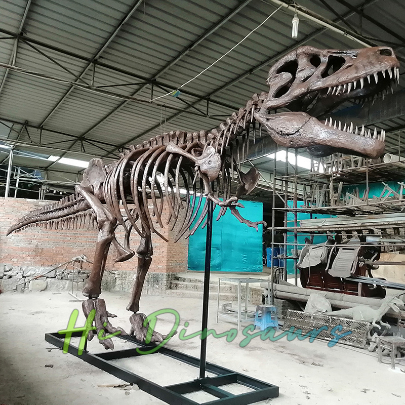 Realistic T-Rex Fossil Skeleton for Outdoor Museum Exhibits | Hi Dinosaurs